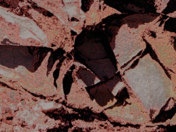 4.My most favorite photos of abstract/semi abstract nature - Nili ...