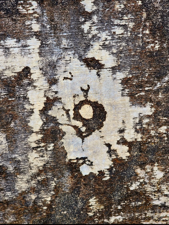 5.Nature as an abstract and semi abstract painter - Nili Tochner Art ...