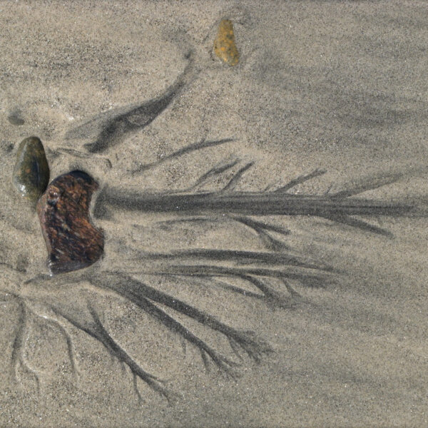 4.My most favorite photos of abstract/semi abstract nature - Nili ...