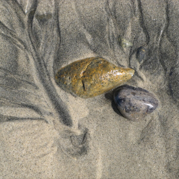 4.My most favorite photos of abstract/semi abstract nature - Nili ...