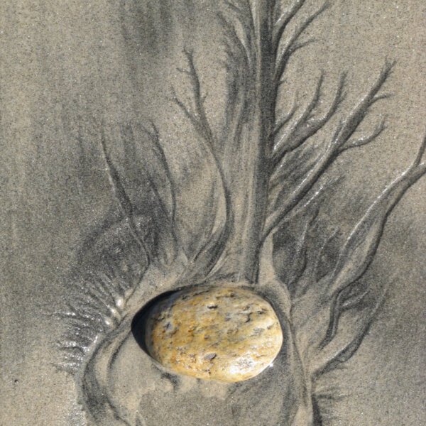 4.My most favorite photos of abstract/semi abstract nature - Nili ...