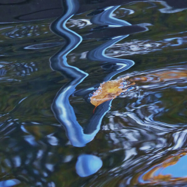 4.My most favorite photos of abstract/semi abstract nature - Nili ...