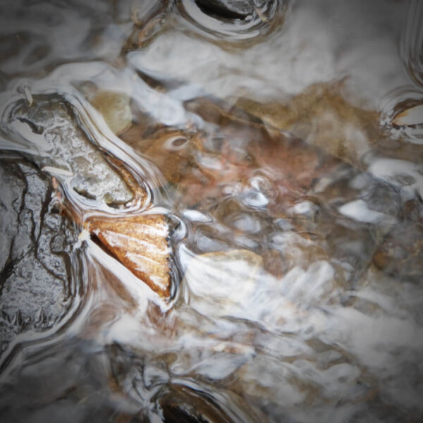 4.My most favorite photos of abstract/semi abstract nature - Nili ...