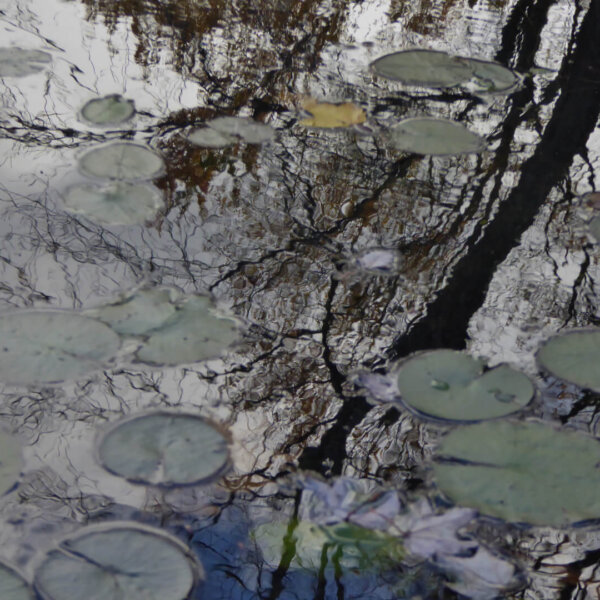 4.My most favorite photos of abstract/semi abstract nature - Nili ...