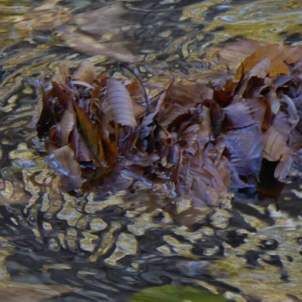 4.My most favorite photos of abstract/semi abstract nature - Nili ...