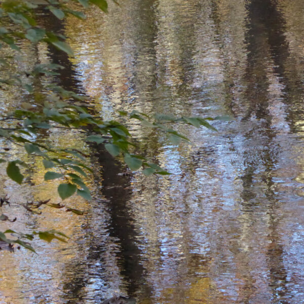 4.My most favorite photos of abstract/semi abstract nature - Nili ...