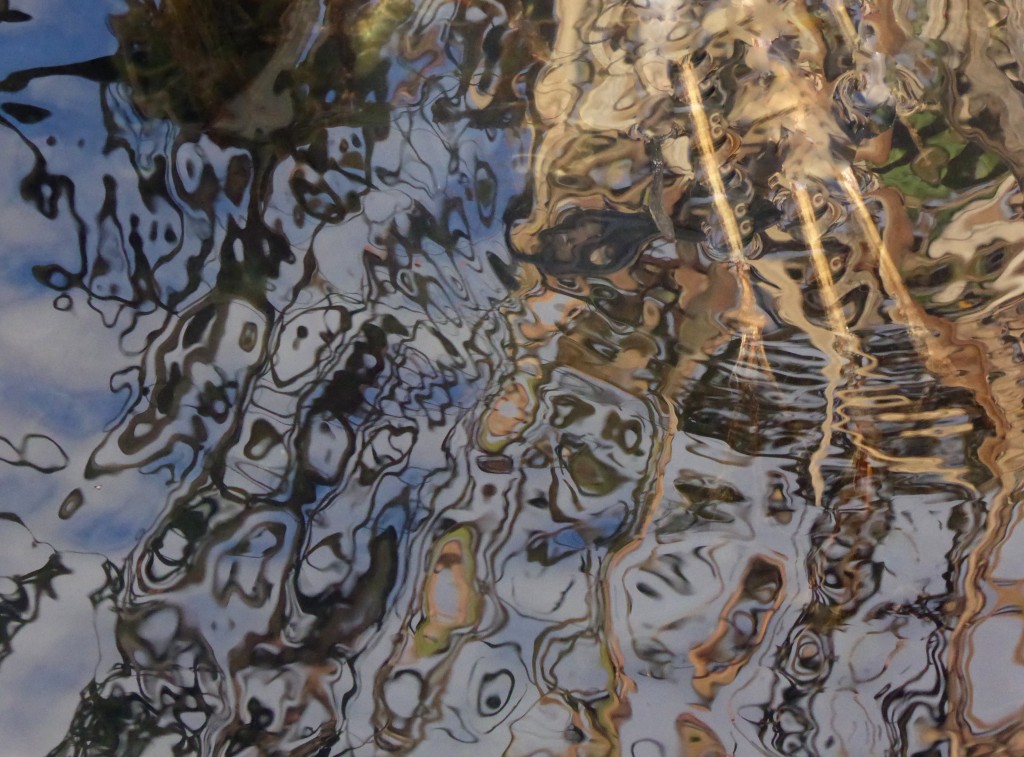 4.My most favorite photos of abstract/semi abstract nature - Nili ...