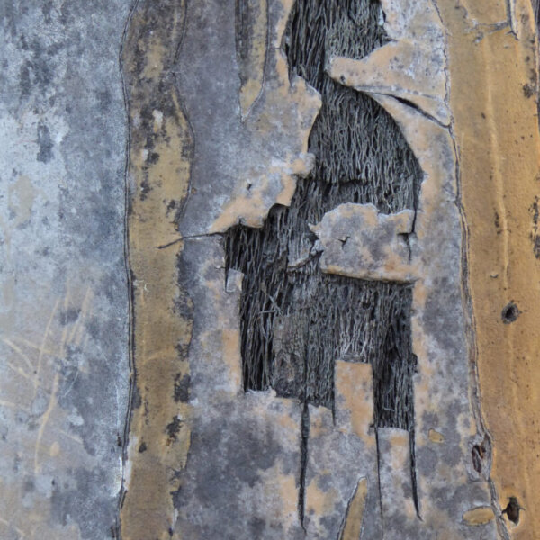 4.My most favorite photos of abstract/semi abstract nature - Nili ...