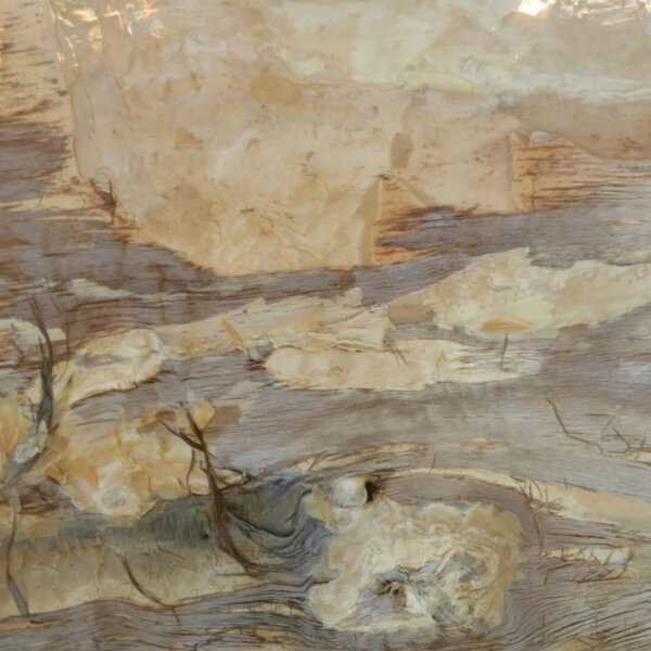 4.My most favorite photos of abstract/semi abstract nature - Nili ...