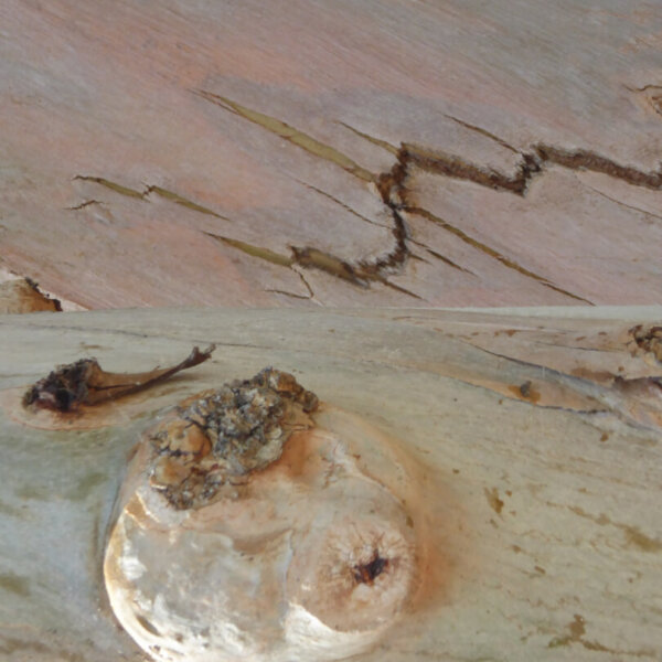 4.My most favorite photos of abstract/semi abstract nature - Nili ...