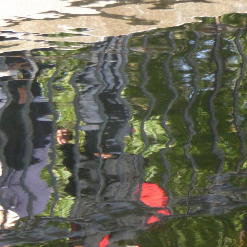 4.My most favorite photos of abstract/semi abstract nature - Nili ...